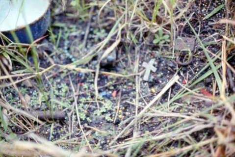 Alice Lenshina – The church was surrounded by heaps of objects and ...