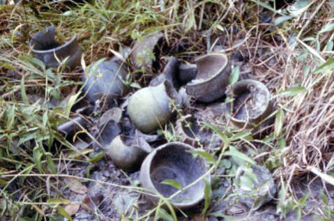 The Alice Lenshina Story: April 1967 personal recount by B. Barratt ...