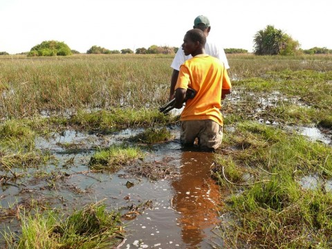 23 Mpika fishermen forced to eat raw bubble fish and Mazoe | Lusaka Voice