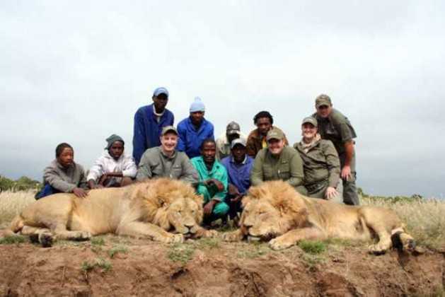Zambia lifts lion hunting ban and other big cats | Lusaka Voice Zambia lifts lion hunting ban and other big cats | Lusaka Voice